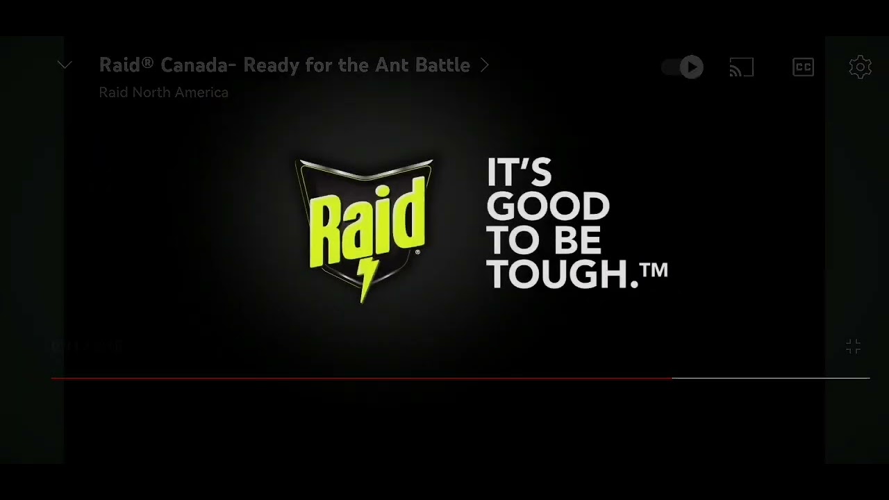 Raid Logo - YouTube