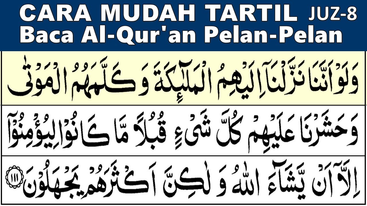 BELAJAR MENGAJI QURAN JUZ 8 LENGKAP Pelan-Pelan - YouTube