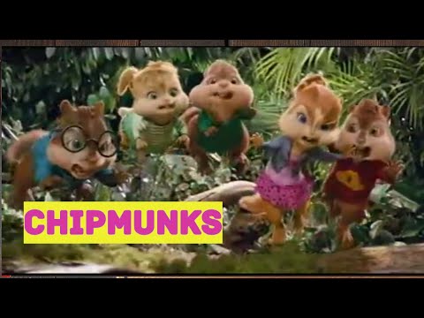 Chipmunks Bad Romance oNe HouR Challenge 1 JAM Lagu bad romance - YouTube