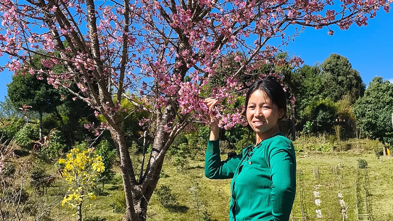 Indu Rai(Limbu) is live - YouTube