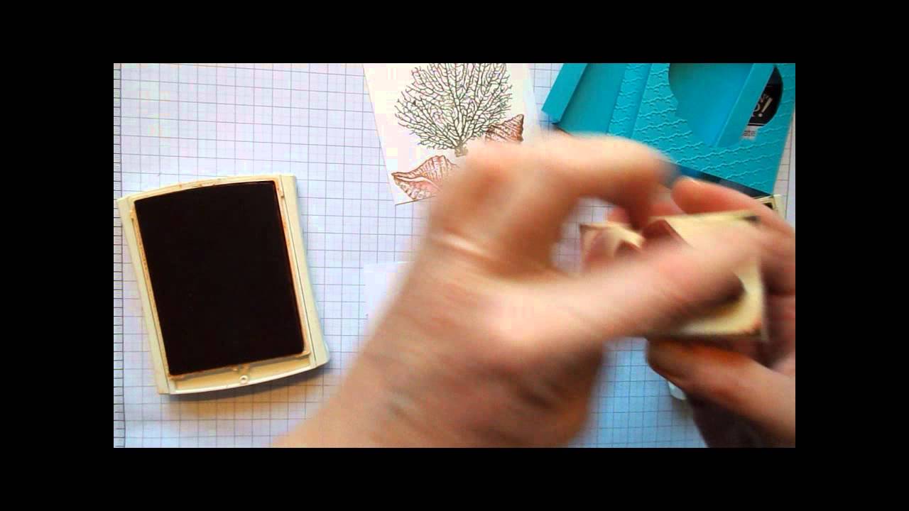 Floating Fish Card - YouTube