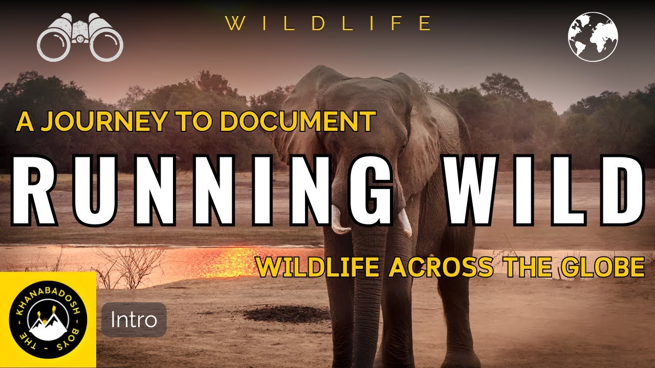 Journey To Document Wildlife Across The Globe | Running Wild - YouTube