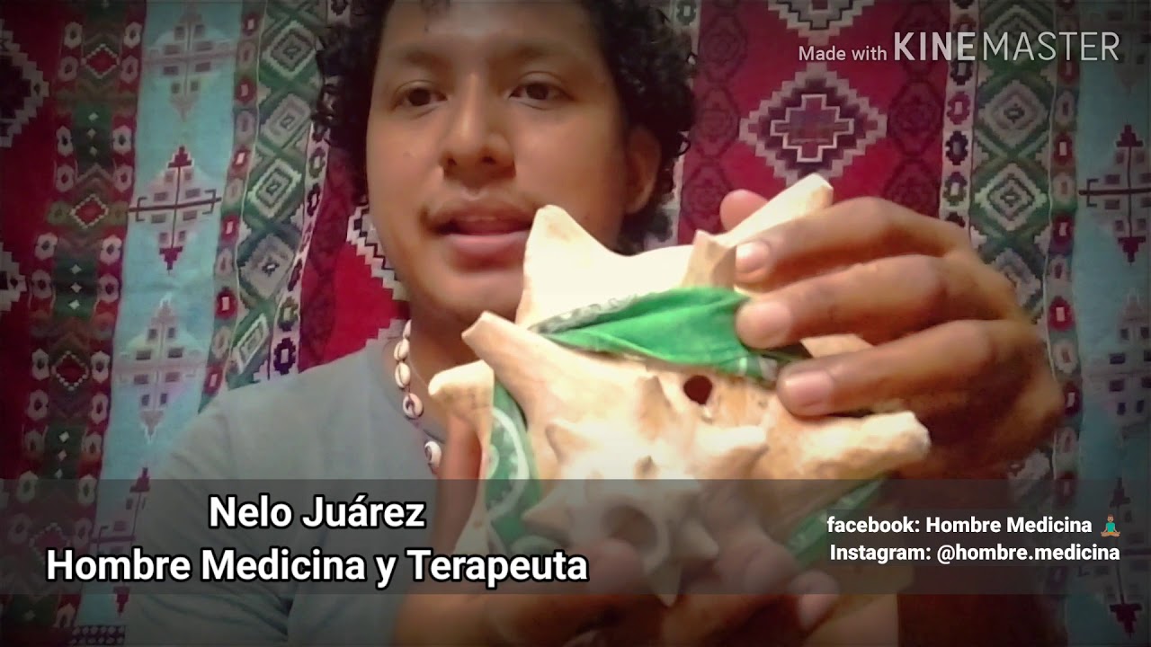 EL USO DEL CARACOL COMO INSTRUMENTO CEREMONIAL - YouTube
