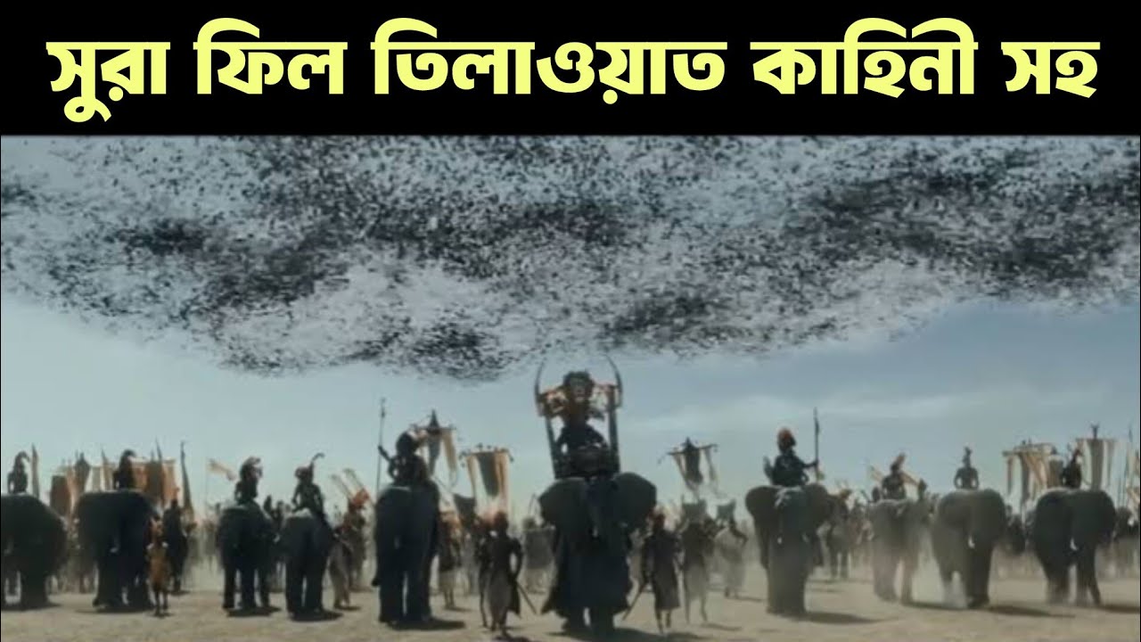 সুরা ফিল তিলাওয়াত ও ঘটনা || Story Of Surah Al Feel_ সূরা ফীলের ঘটনা ...