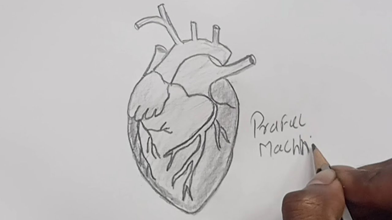 How to draw heart// heart pencil drawing.heart penting - YouTube