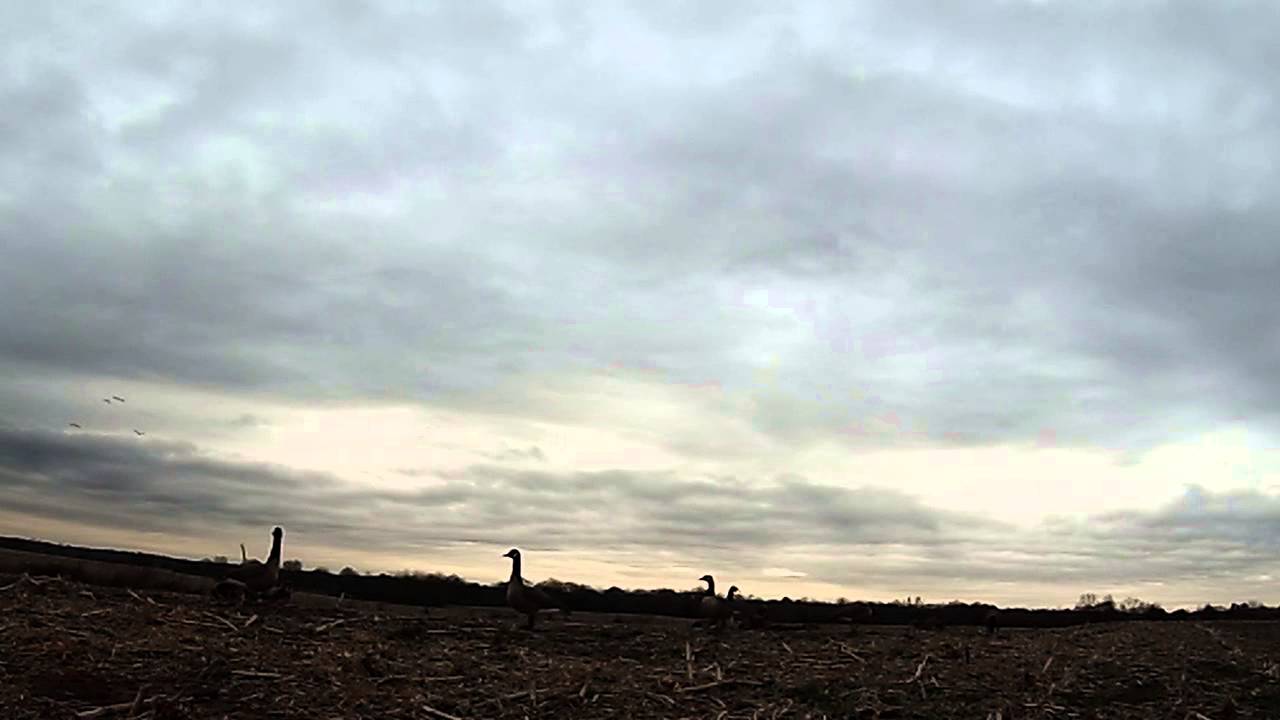 Rainy Day Canadas - YouTube