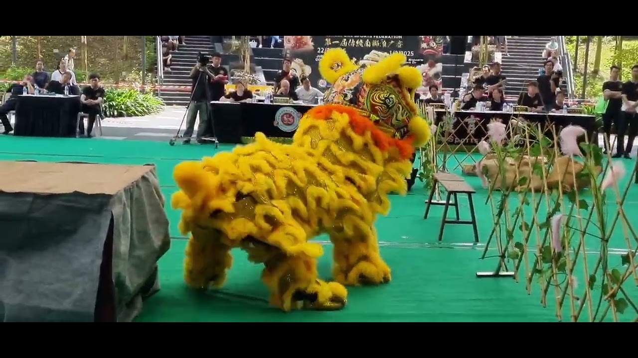 【4K30】 2025 新加坡第一届传统南狮推广赛【第二场】@Yishun Town Square 新加坡腾勇关圣宫龙狮团 得分: 8.80 ...