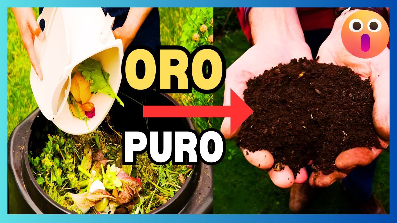 Cómo Hacer COMPOST en Casa Fácil y Rápido 🌱 (Guía Paso a Paso) How to ...
