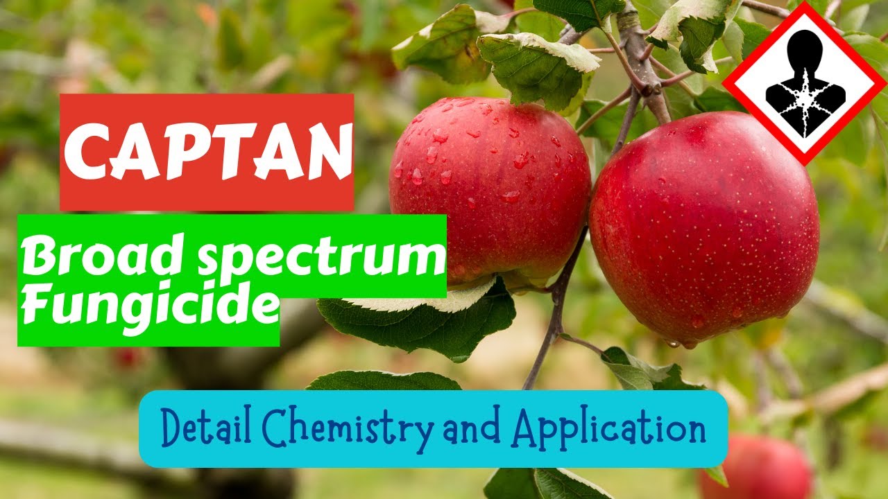 Captan Fungicide: Uses, Mode of Action, and Safety Guidelines - YouTube