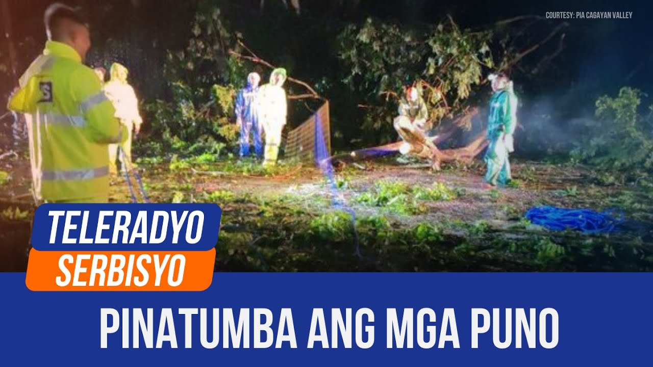 ‘Pepito’ topples trees, causes power outage in Nueva Vizcaya | Digital ...
