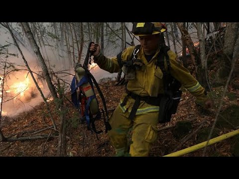 ABD'de orman yangınları: En az 31 ölü