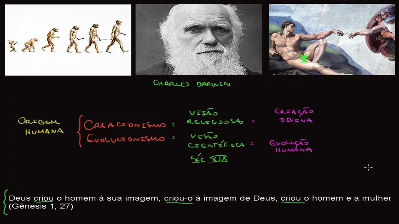 Diferença Entre Criacionismo E Evolucionismo