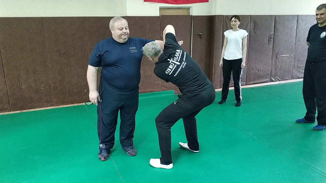 2019-06-01 Systema Ryabko seminar. Part 3. Mastery - YouTube