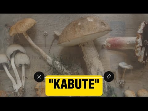 Healthy & Delicious Kabute Recipe | Easy Mushroom Dish for Everyday ...