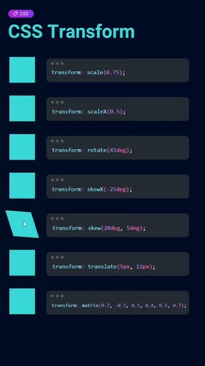 Css Transform Css3 Html5 Python Programming 1million Dz Youtube