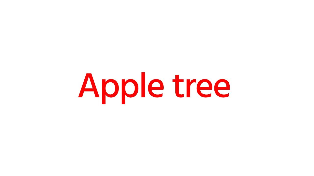 Apple Tree Information In Apple Tree YouTube apple-tree-information-in-apple-tree-youtube