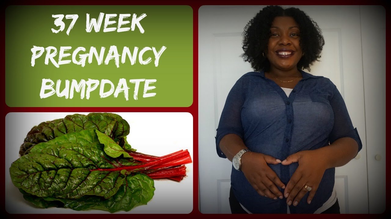 37 Week Pregnancy Bumpdate After Stillbirth - YouTube