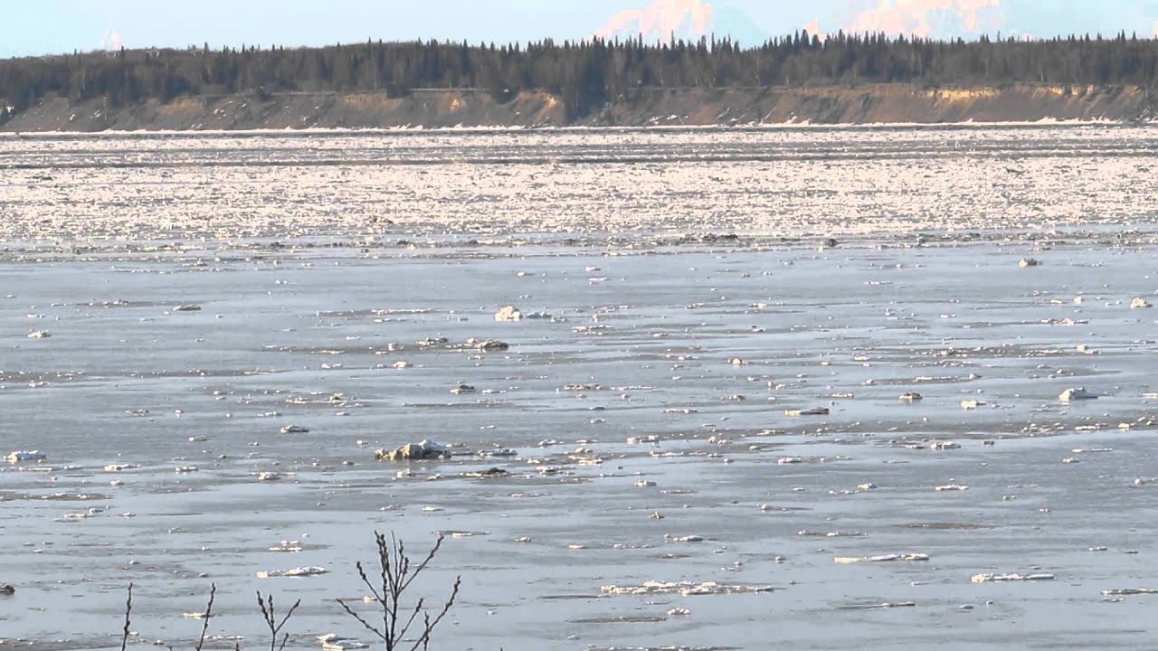 Mudflats on Cook Inlet - YouTube