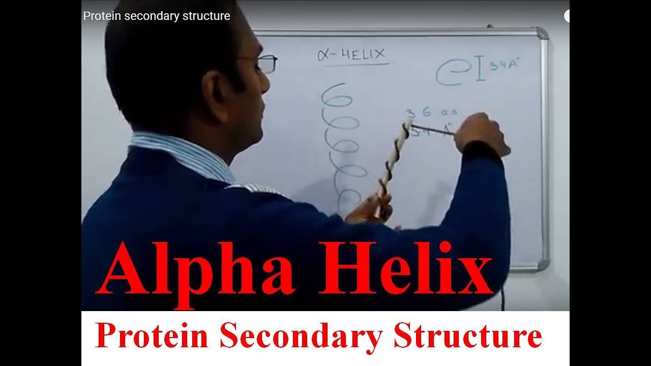 Alpha Helix - Protein secondary structure - YouTube