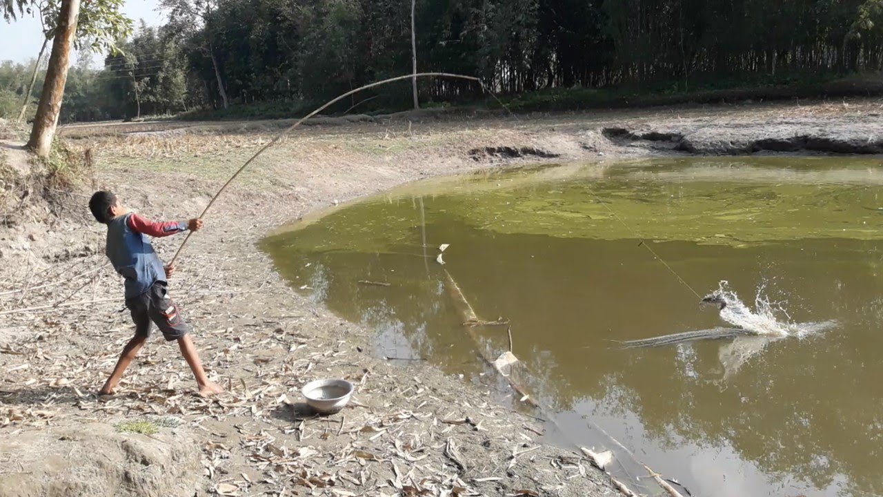 Fishing with Hook | Best Fish Catching Video (Part-8) - YouTube