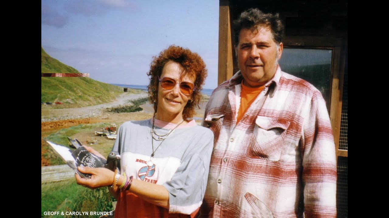Video 248: Carolyn & Geoff Brundle of Skinningrove: Premier Pigeon ...