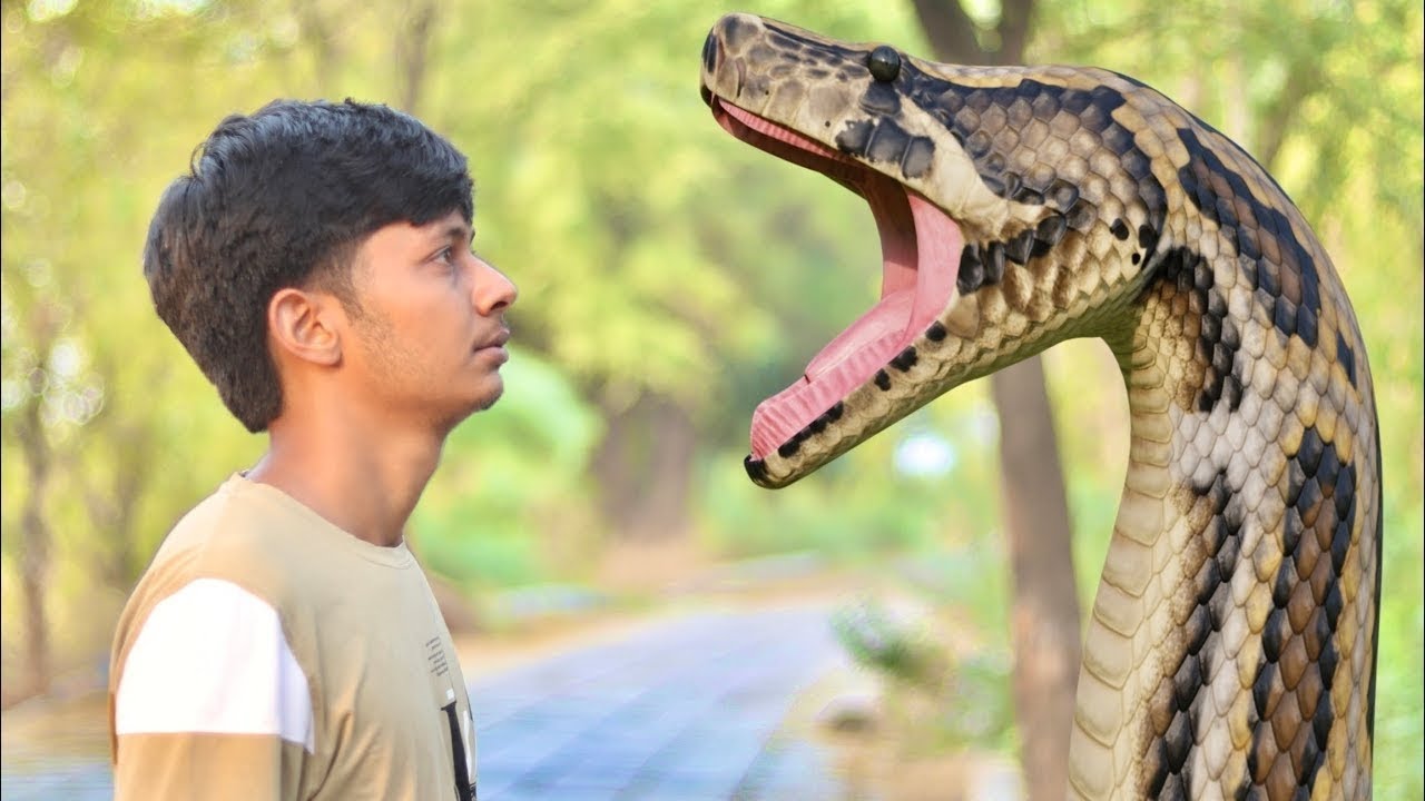Anaconda Snake Attack In Real Life 2 | anaconda hollywood video # ...