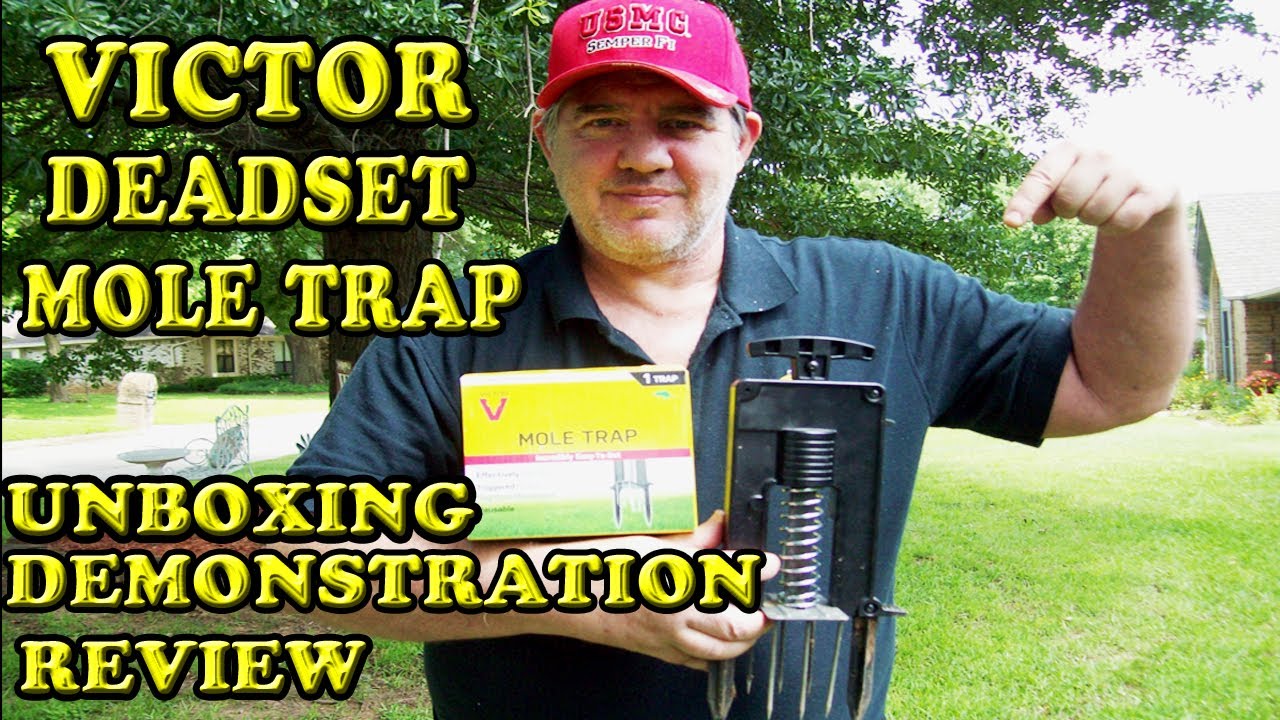 Victor Deadset Mole Trap Unboxing Demonstration and Review - YouTube