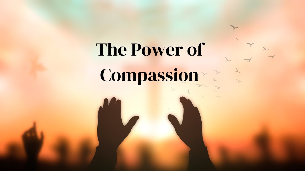 Learn the power of compassion. - YouTube