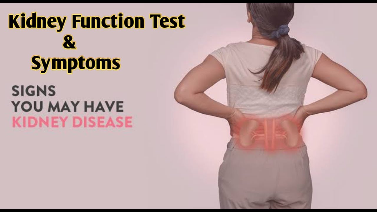 Kidney Function Test I Kidney Function Tests Explained YouTube Kidney Function Test I Kidney Function Tests Explained YouTube
