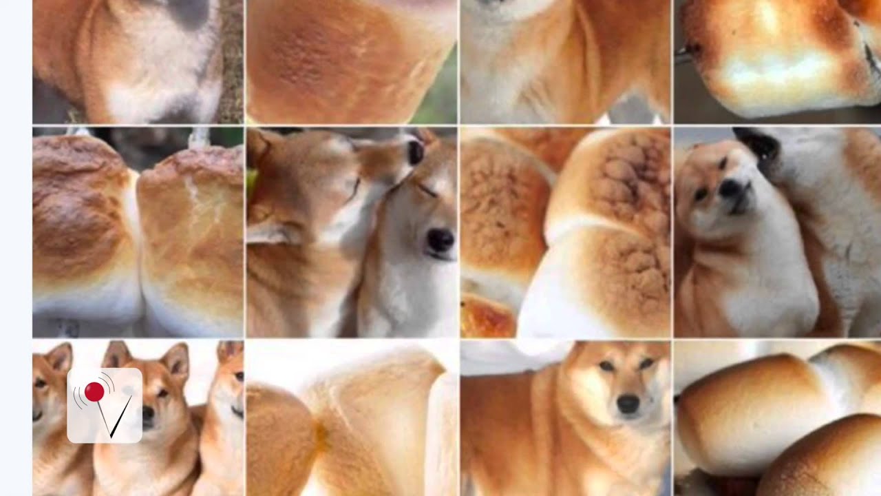 'Dog or Food' meme is the newest Internet sensation - YouTube