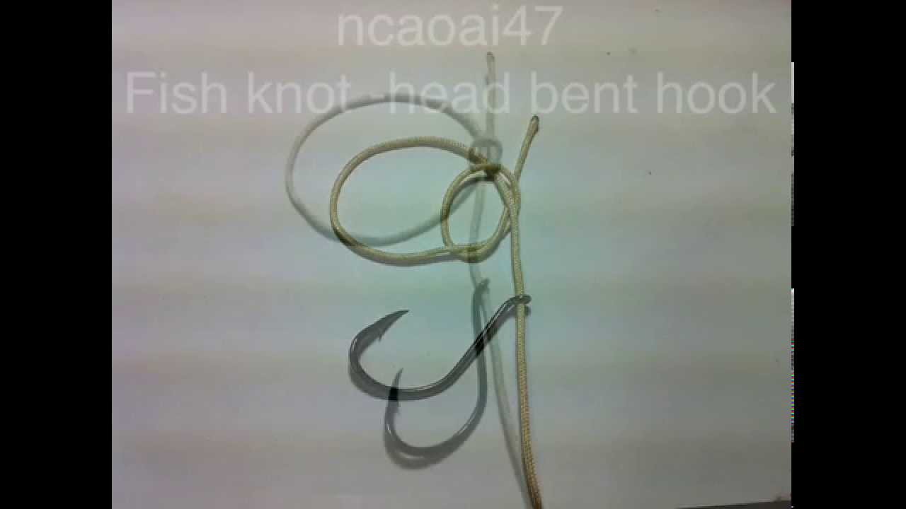 Fishing - Fishing knot- How to tie Turle knot for fish hook (81)-Buộc ...