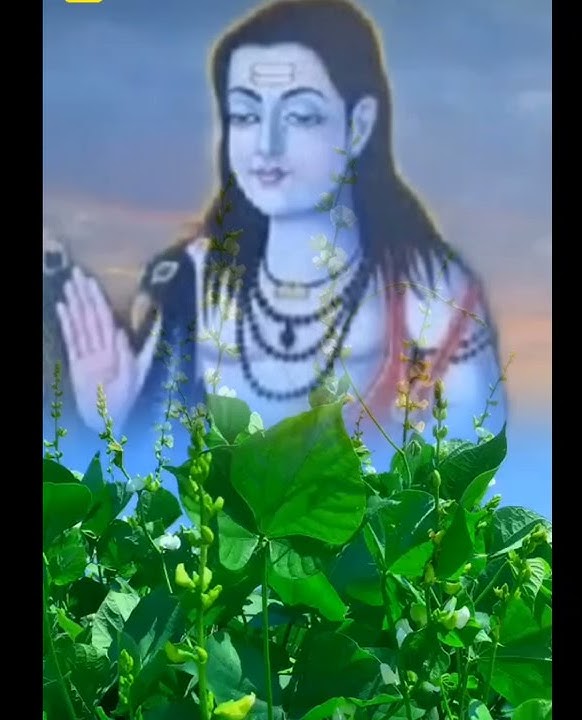 balak nath ji 2021|| WhatsApp status baba balak nath ji - YouTube