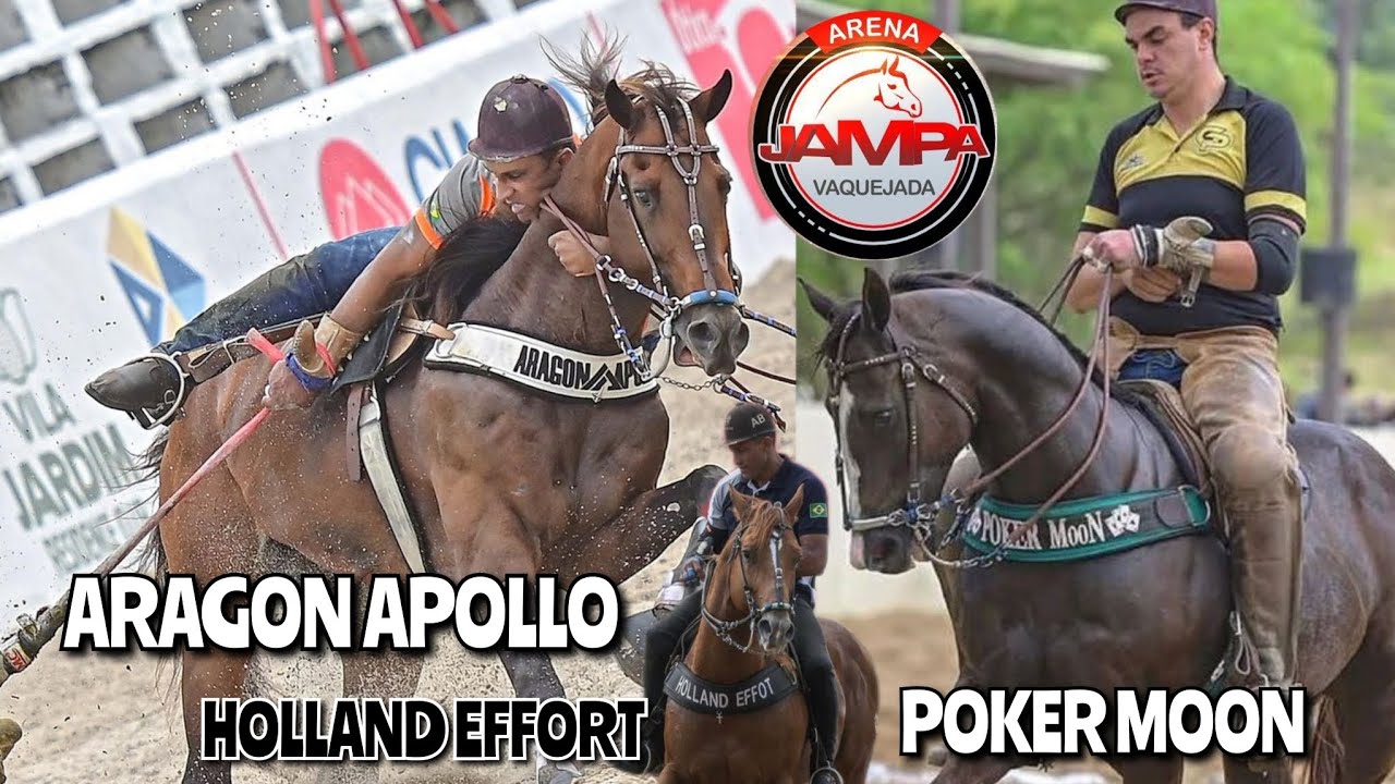 Estreia de ARAGON APOLLO|Poker Moon e Holland Effort estão ...