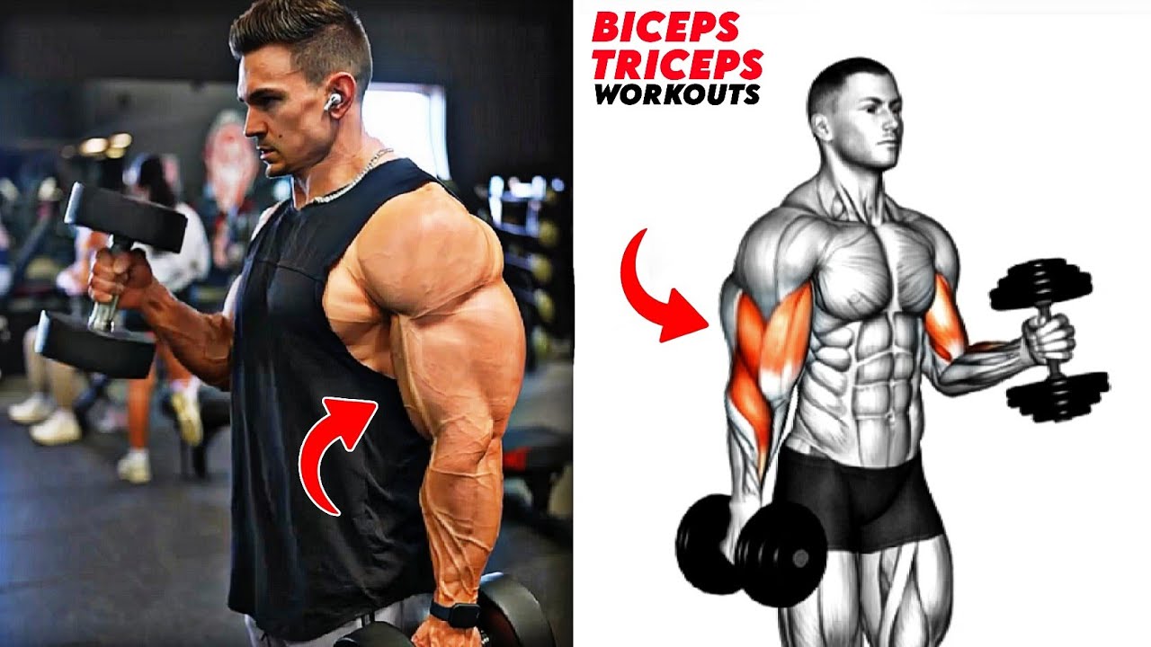 Build Bigger Arms FAST – 9 Explosive Bicep & Tricep Exercises! - YouTube