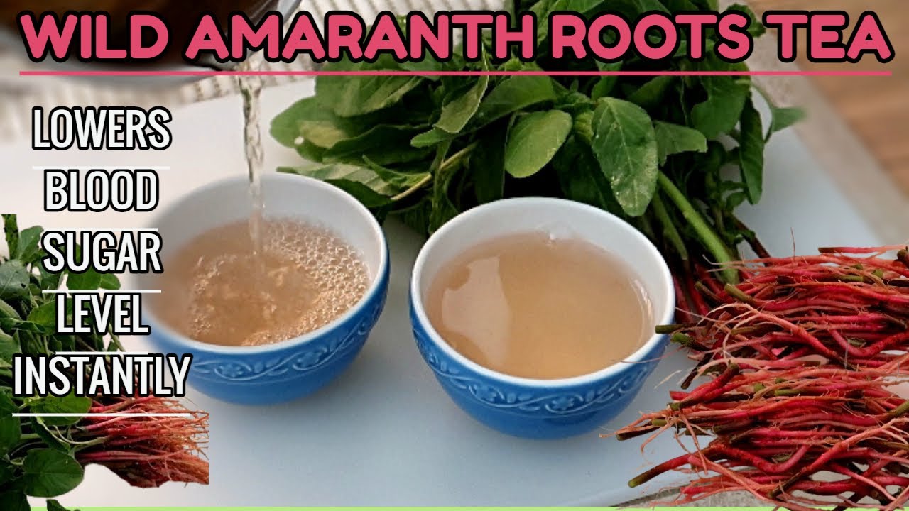Uproot this now ! HERBAL TEA For Diabetes/ How to Make WILD AMARANTH ...