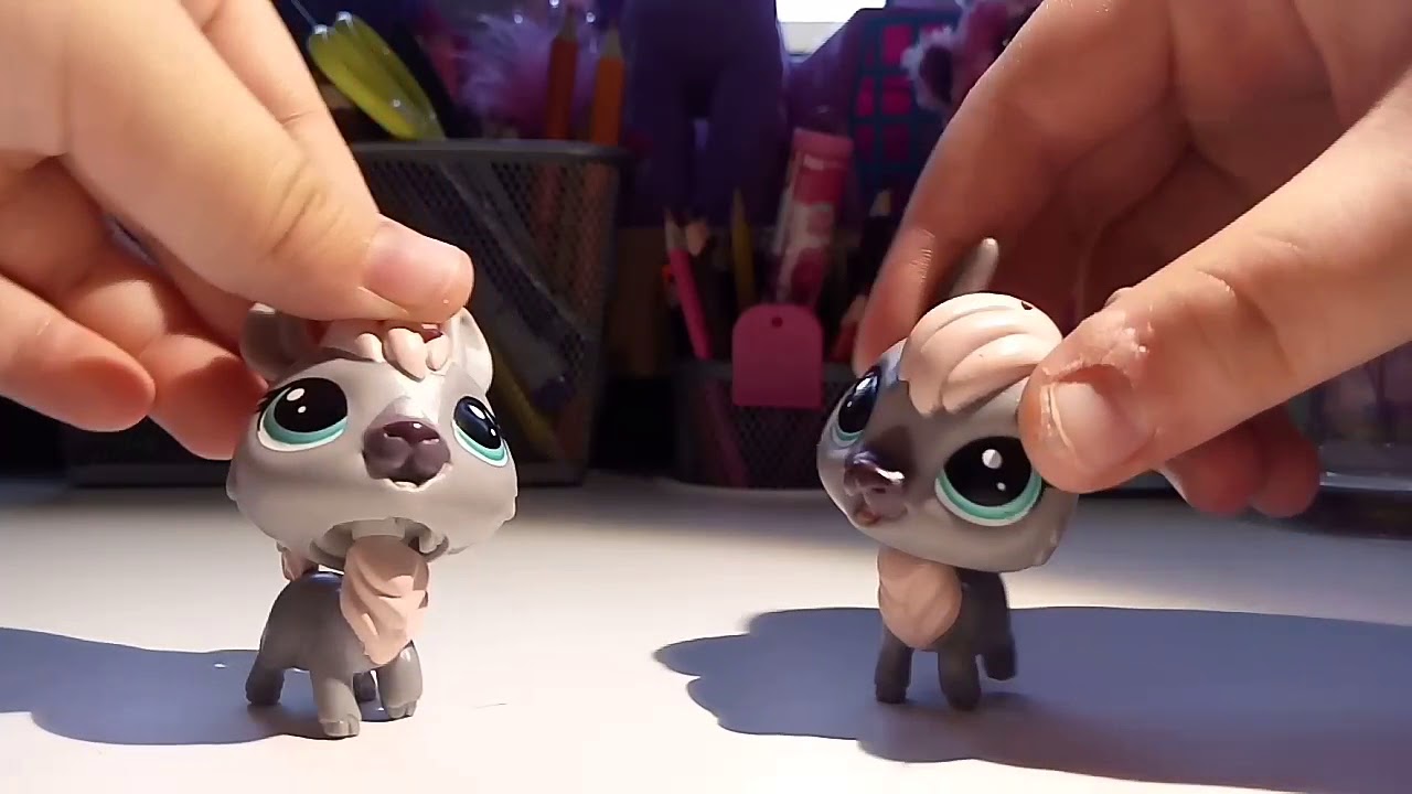 Lama in my living room ft.Miśka lps tv - YouTube