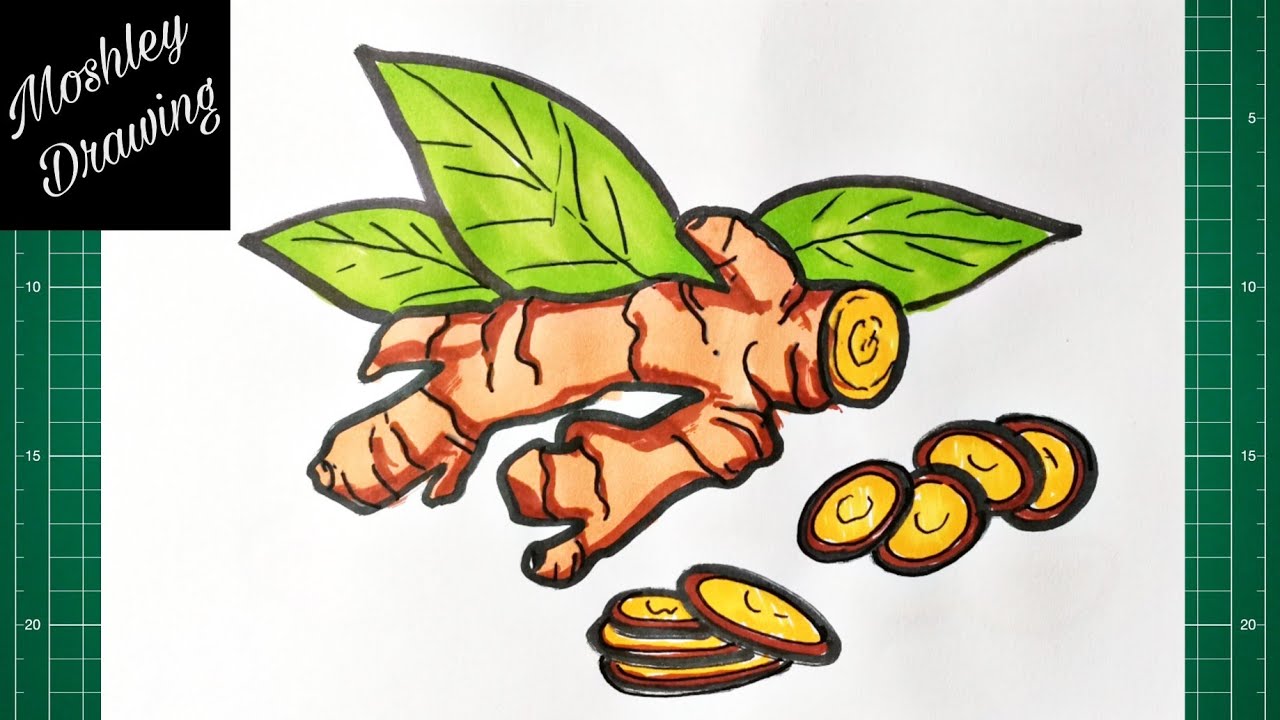 How to Draw a Turmeric Step by Step - YouTube