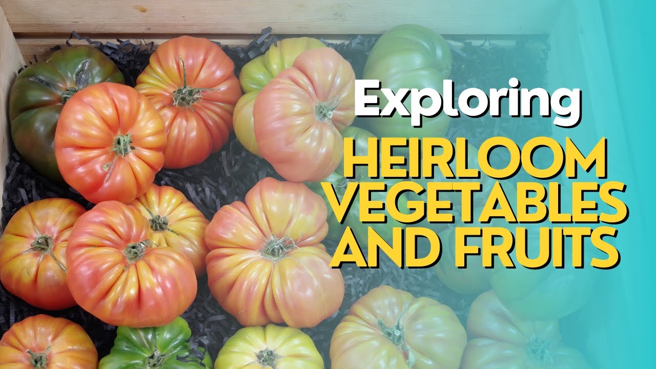 Exploring Heirloom Vegetables and Fruits - YouTube