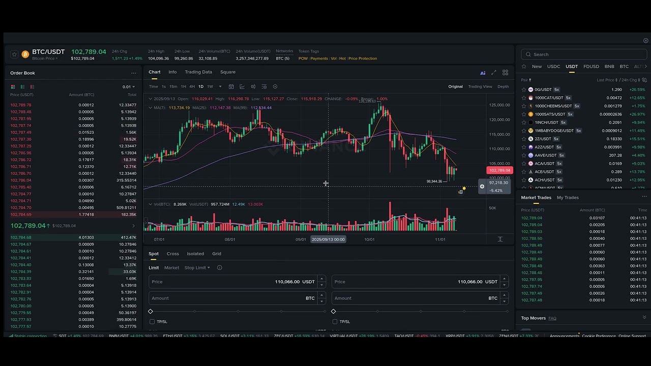 LIVE BTC/USDT CHART: Real-Time Bitcoin Price Tracker (Current Market ...