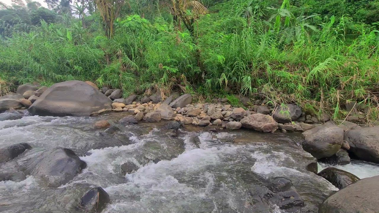 Peaceful Stream by the Lake – Relax Your Soul with Nature - YouTube