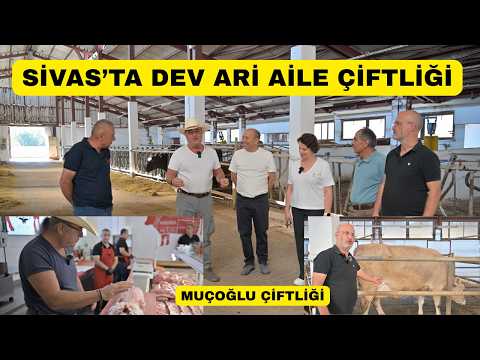 Sivas'ta Köylerine Dev Bir Çiftlik Kurdular! Muçuoğlu Çiftliği