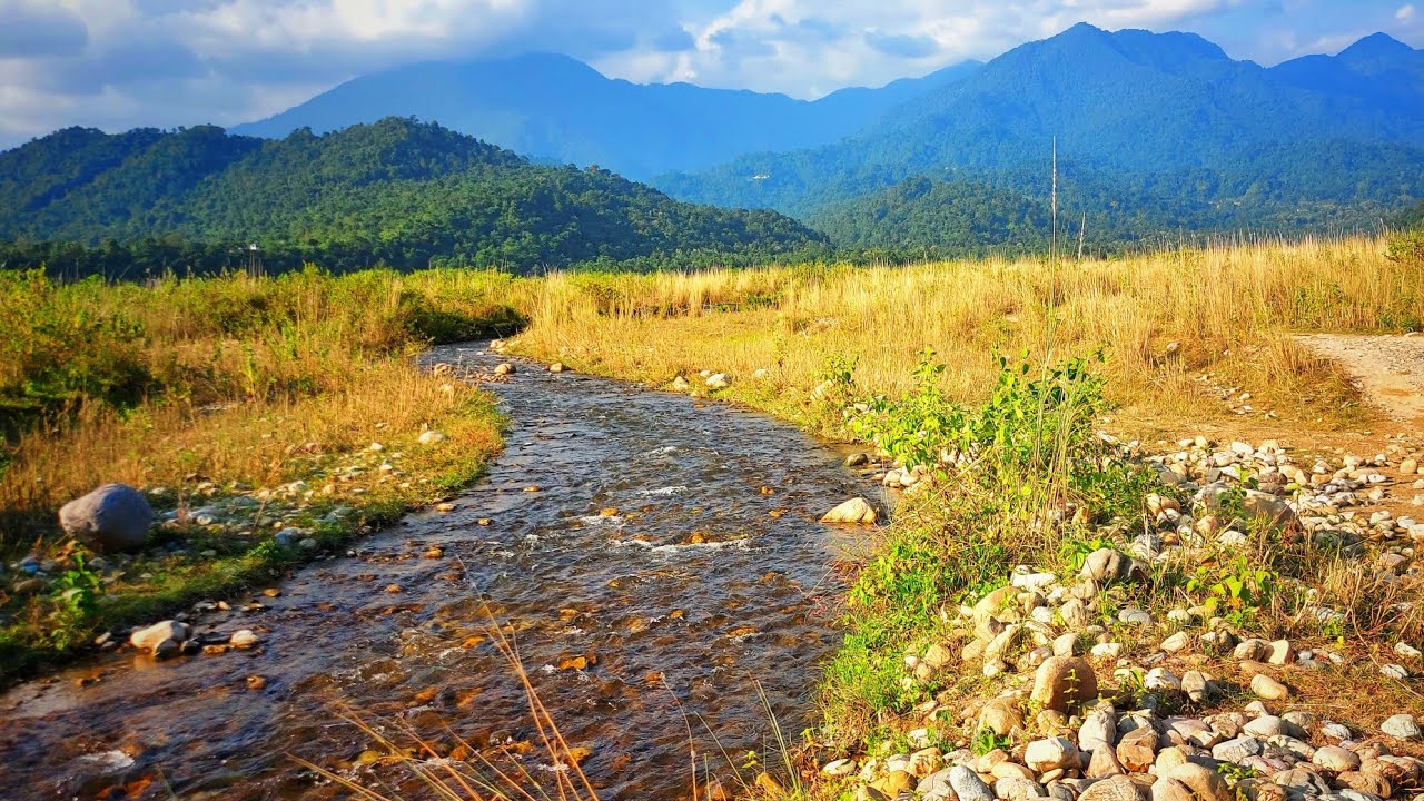 Daojeng | Corramore Tea Estate | Udalguri | Mountain, Hills | #nature # ...