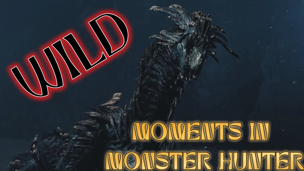 Wild moments in Monster Hunter - YouTube