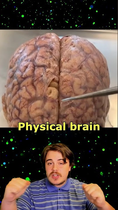 The Split Brain Experiment 🧠 - YouTube