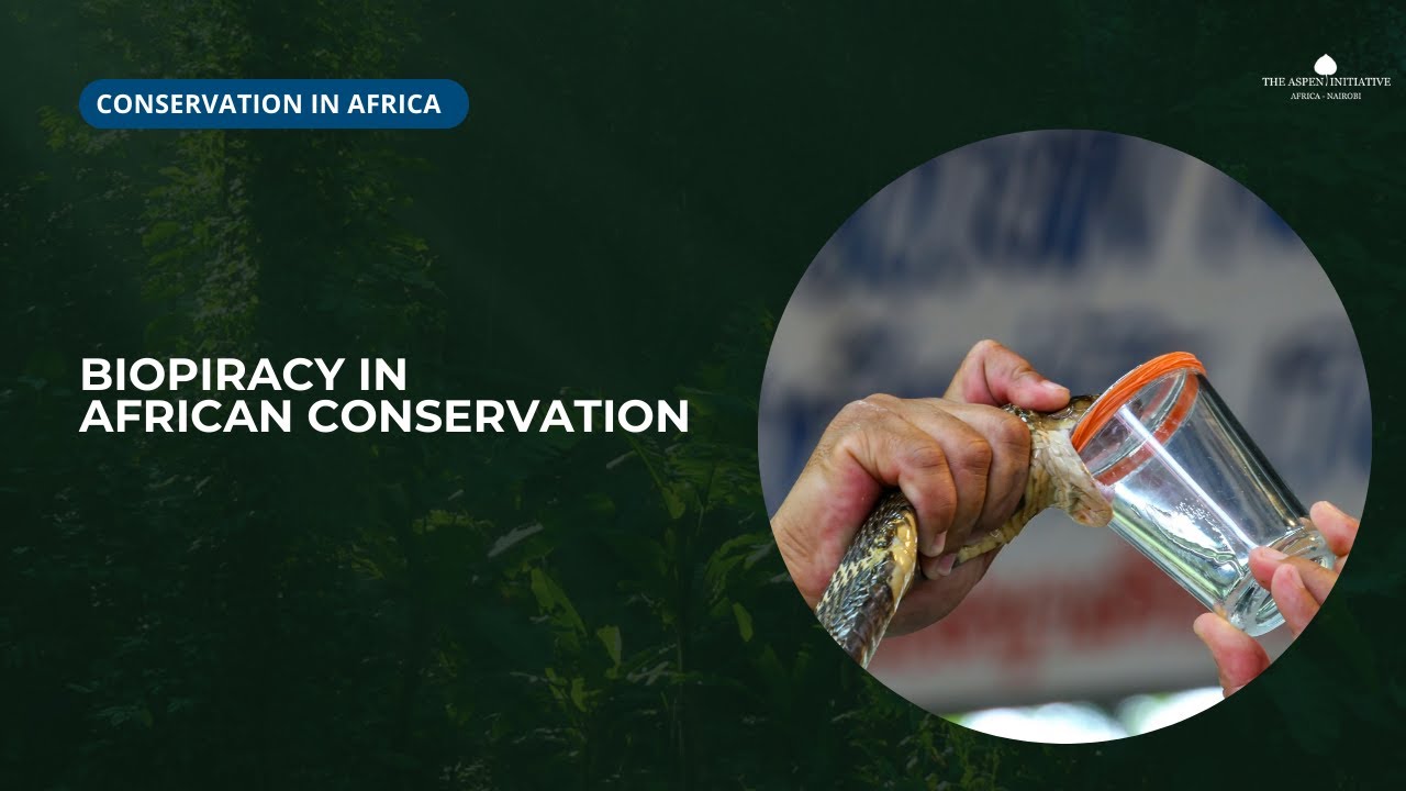 Biopiracy in African Conservation - YouTube