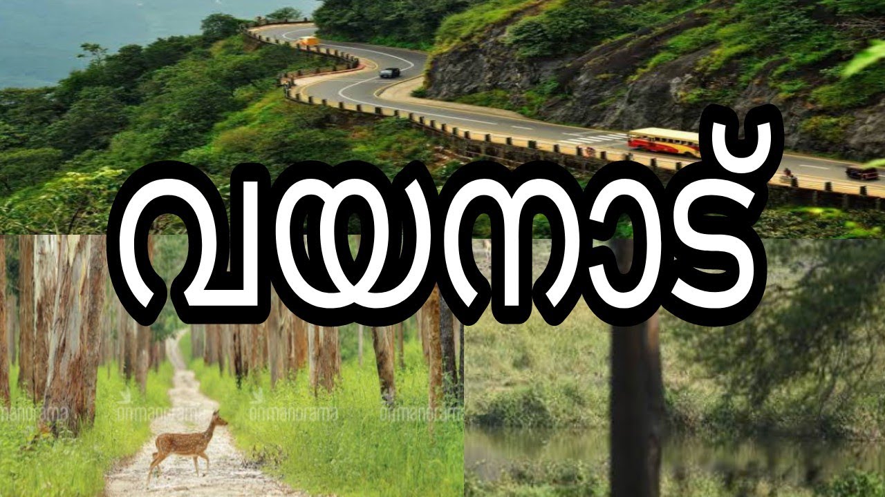 wayanad/muthanga/thamrassery churam/muthanga forest/monkey/deer/lake ...