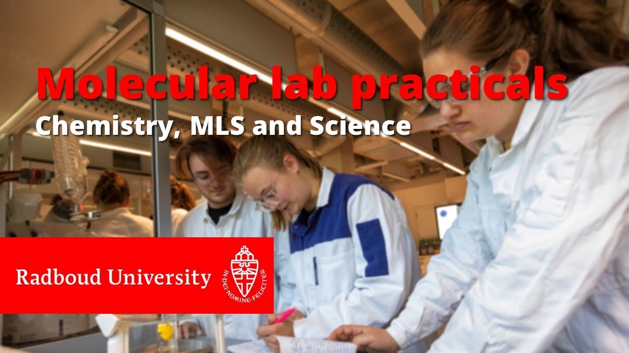 Tour of Molecular Sciences laboratory at Radboud University - YouTube