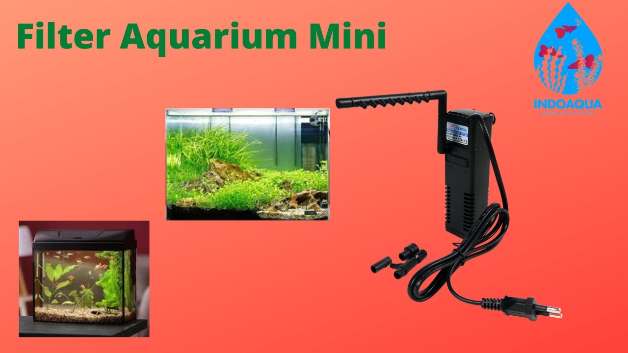 Filter Aquarium Mini Cocok Dengan Tampilan Minimalis - YouTube