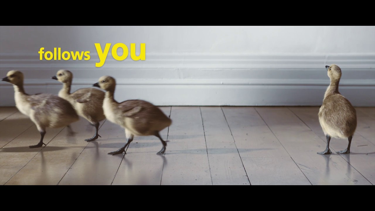 O2 - Free European Roaming - YouTube