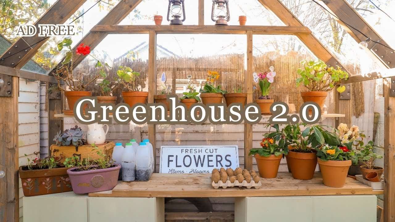 MEMBER: Upgrade Your Greenhouse: DIY Seed Sowing Station & Sweet Pea ...